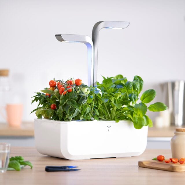 Véritable® - Potagers d’intérieur autonomes - Marques de France