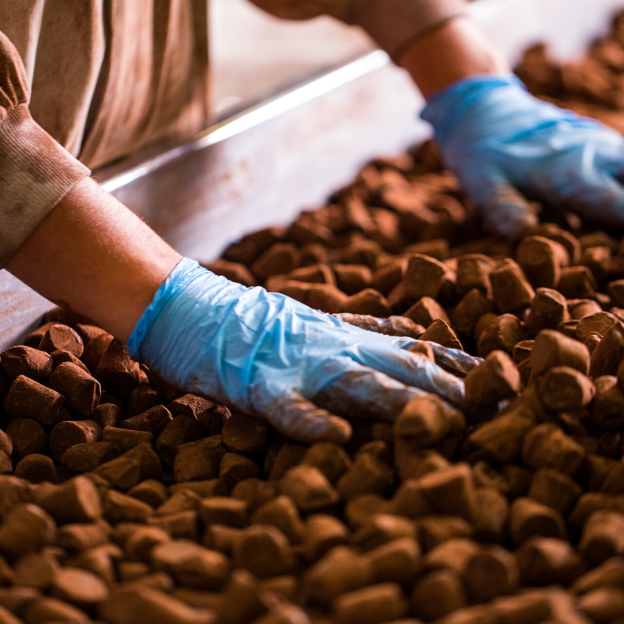 Chocolat Mathez (Les Hauts-d'Anjou) - Atelier - Usine - Marques de France