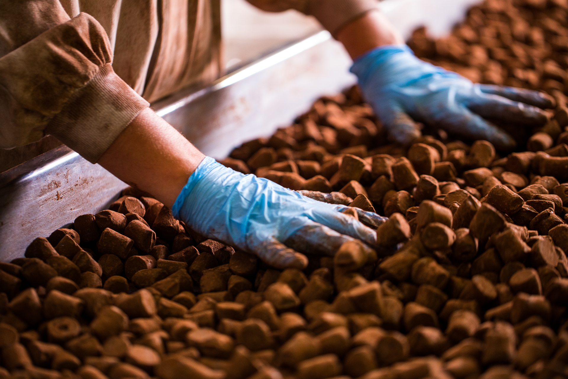 Chocolat Mathez (Les Hauts-d'Anjou) - Atelier - Usine - Marques de France